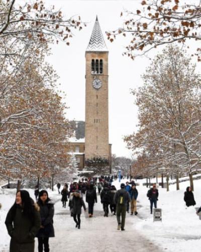 Ways To View Films While Cornell Cinema Takes a Break | Cornell Cinema